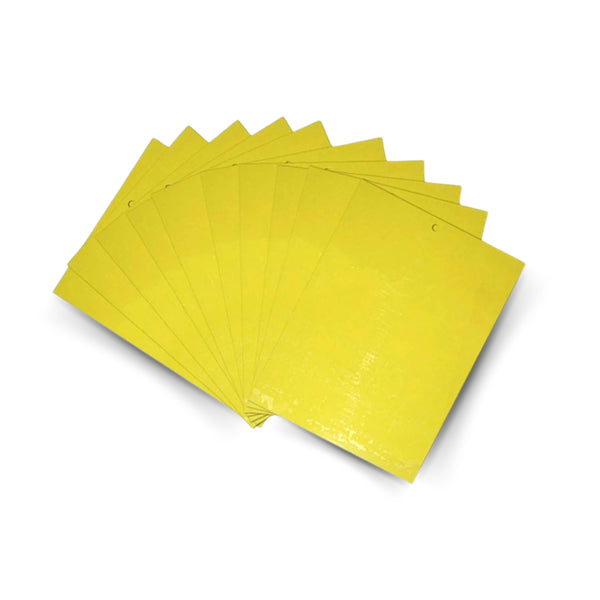 Dual-Sided Sticky Insect Traps – WorldTechOutlet