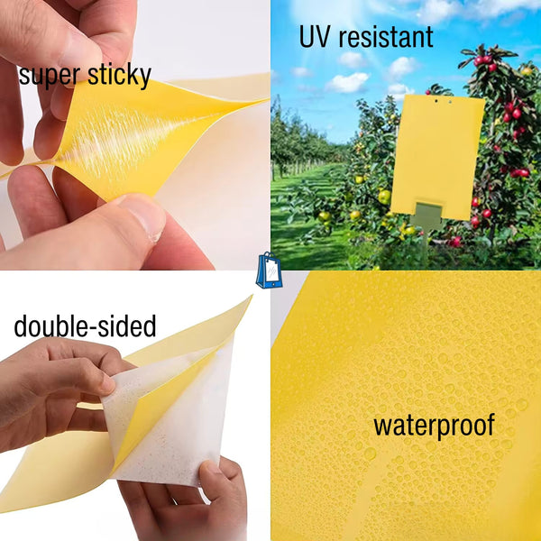 Dual-Sided Sticky Insect Traps – WorldTechOutlet